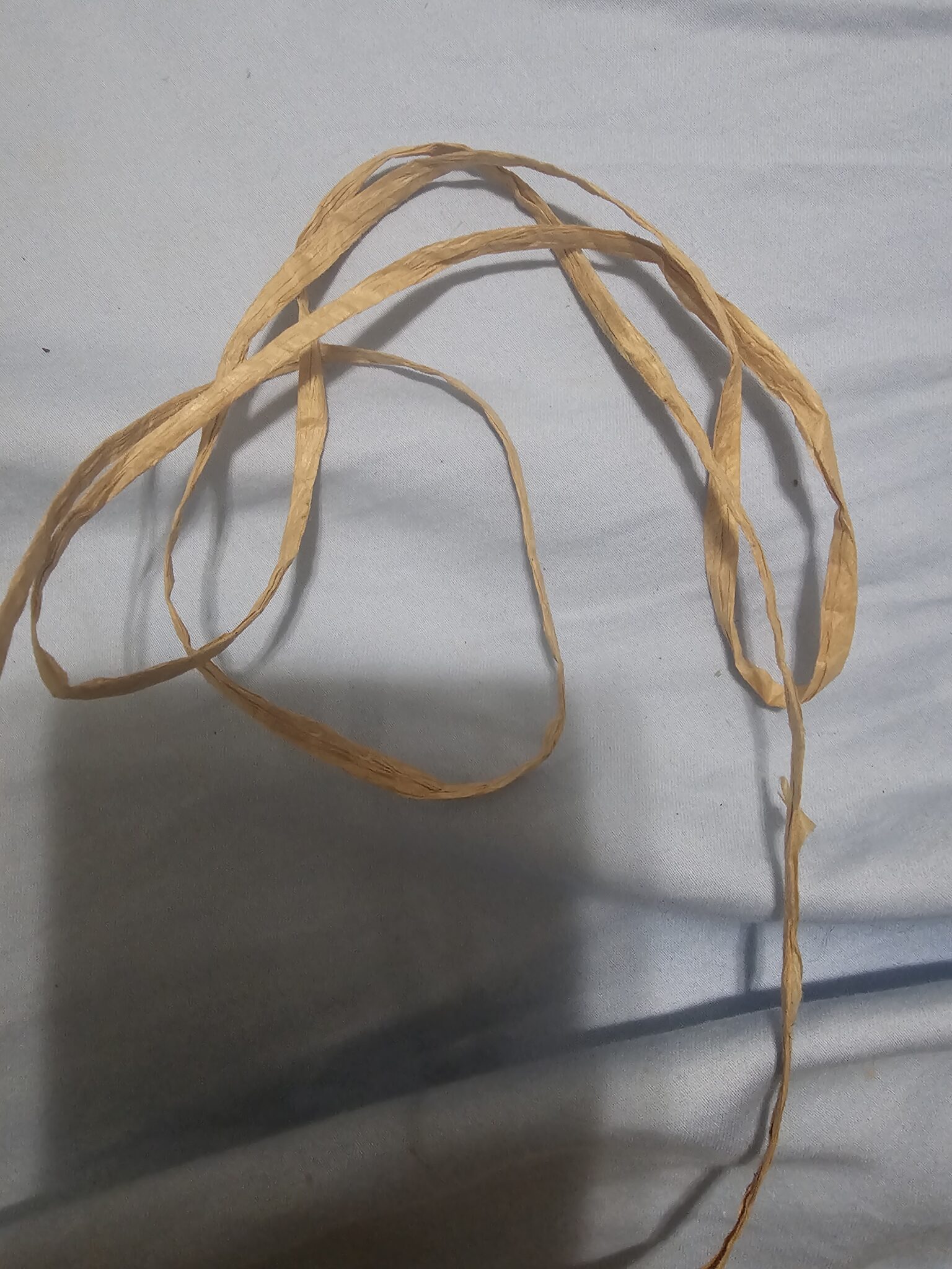 Foraging Boxes « Foraging for Parrots